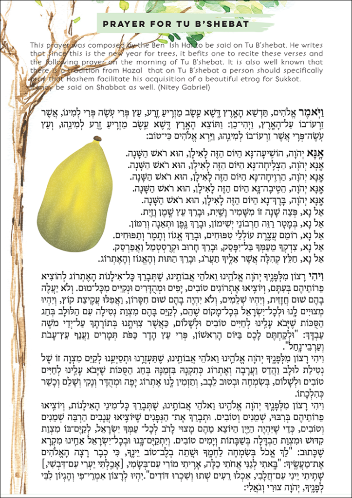 Tefilat Ben Ish Hai for Tu Be’Shevat – Ohel Sara